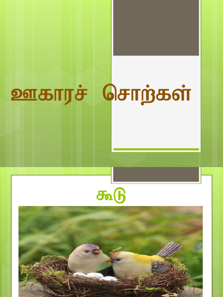 Encrypted Data Structure List | PDF