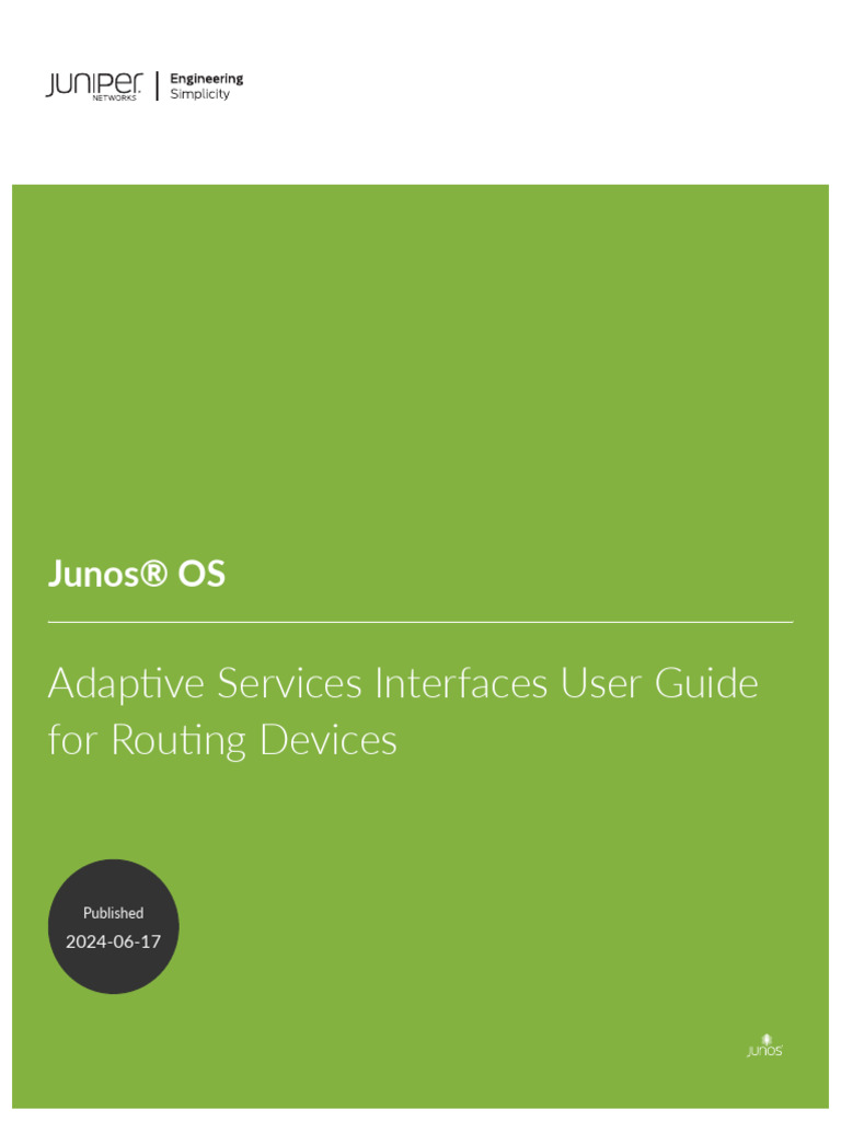 Interfaces Adaptive Services | PDF | Ip Address | I Pv6