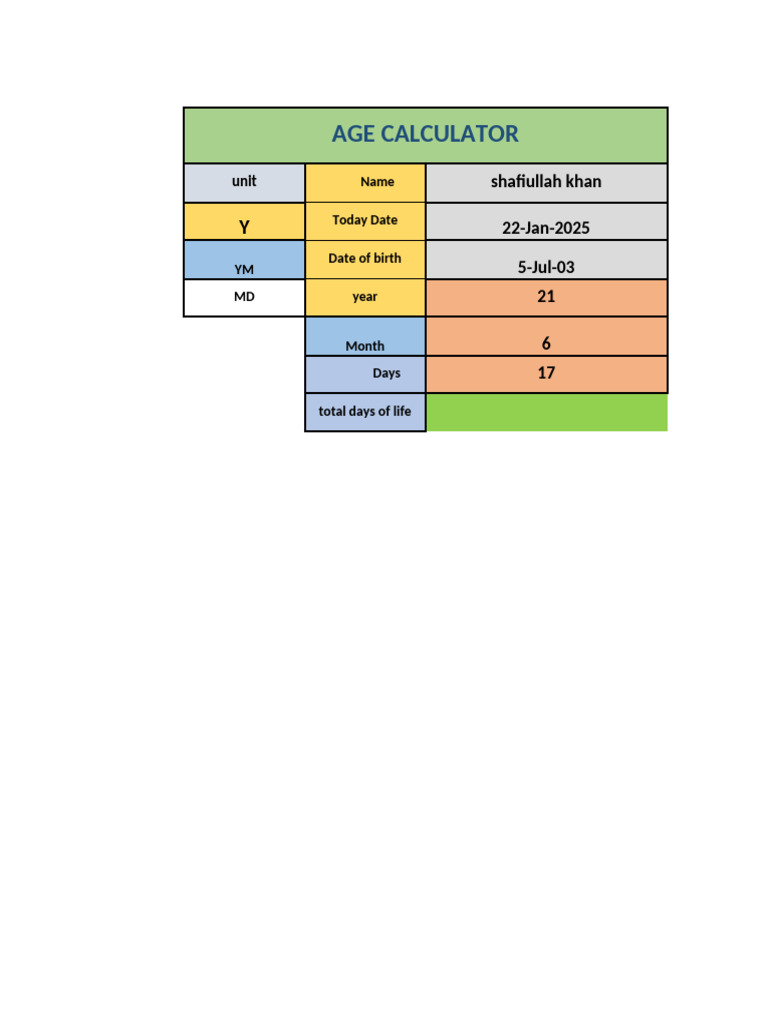 Age Calculator: Calculate Your Age | PDF