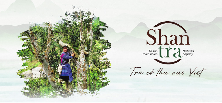 Bien Shantra in | PDF