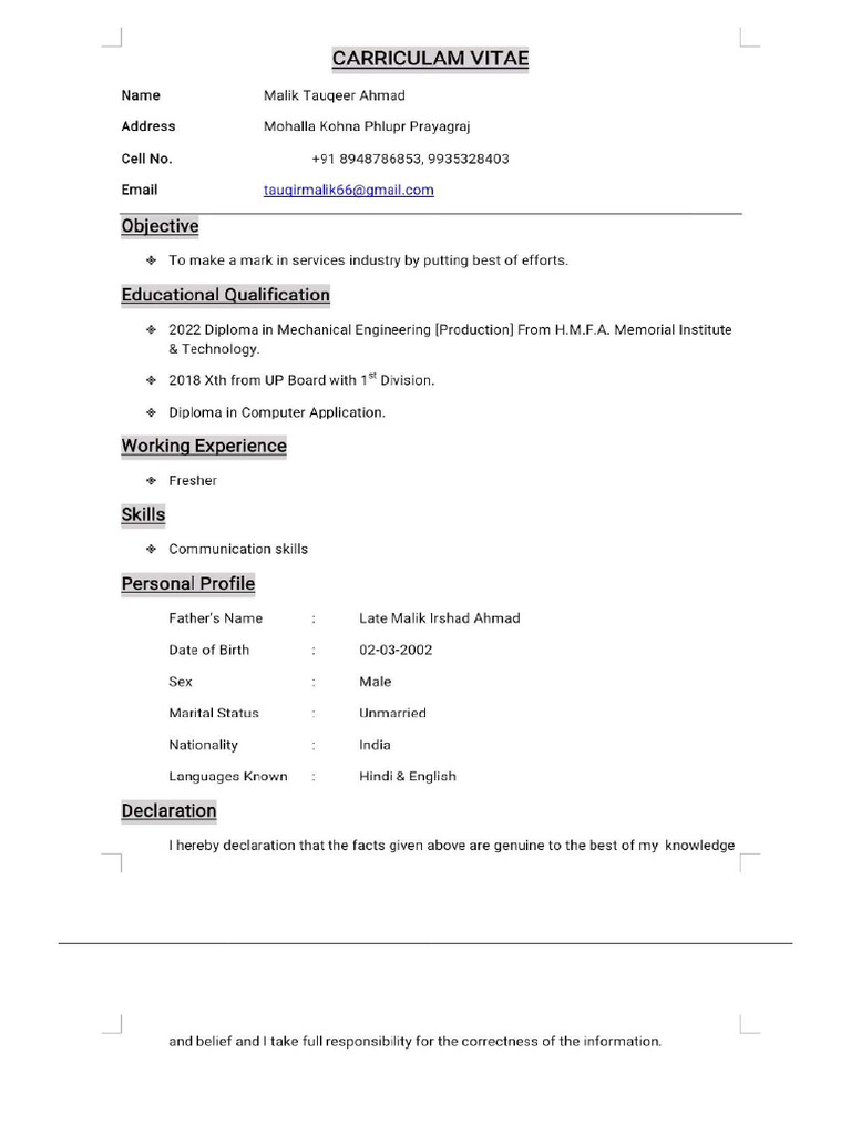 Malik Tauqeer Ahmad CV | PDF