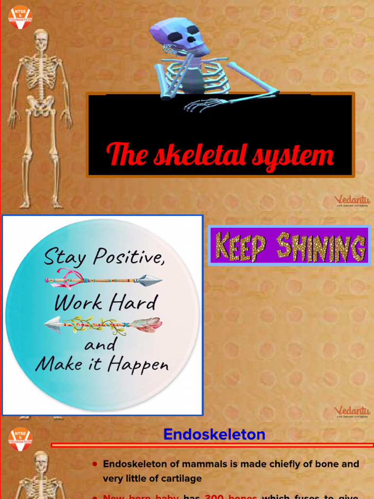 PDF of NTSE & V Foundation - Biology - Lecture 21 - Know The Human ...