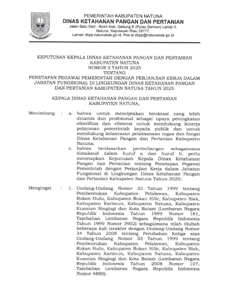 SK Nomor 3 Tahun 2025 TTG Penetapan PPPK Fungsional | PDF