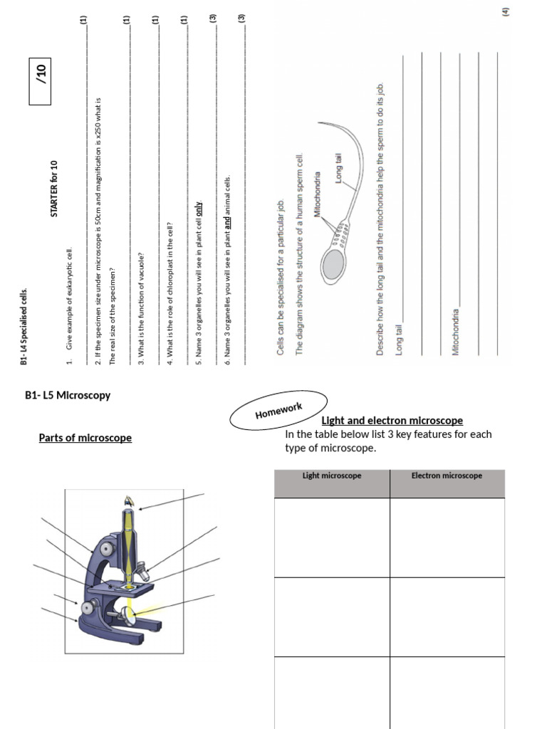 Specialized Cells and Microscopy Basics | PDF