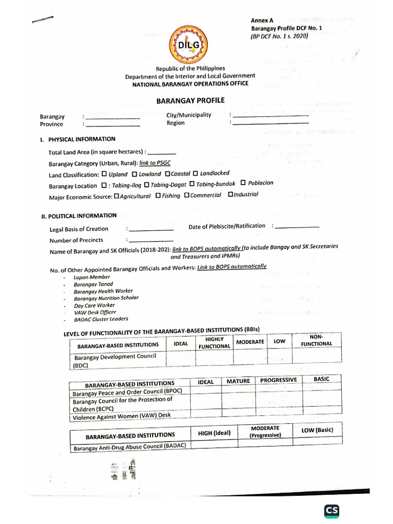 Barangay Profile 2025 | PDF