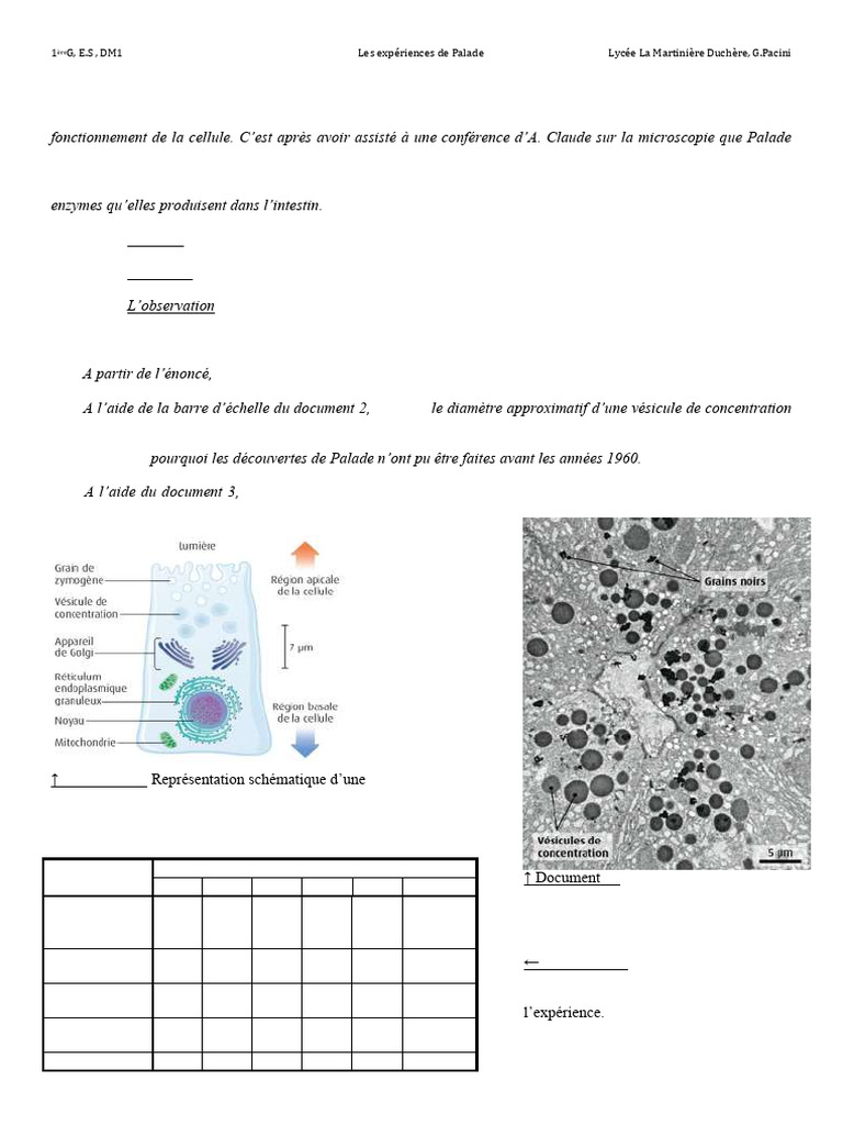 Expériences de Palade sur les enzymes | PDF | Cellule (Biologie ...