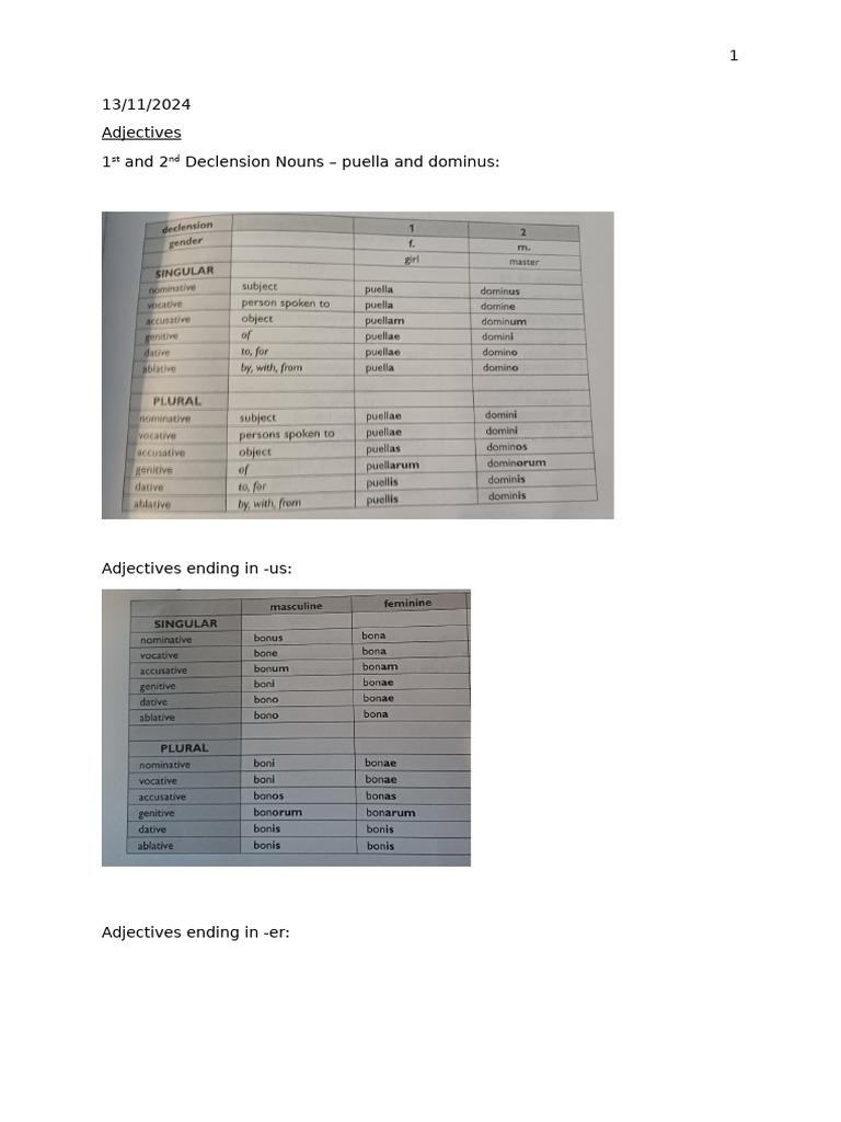 Latin Adjectives and Noun Declensions | PDF