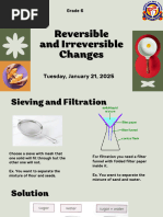 Reversible Irreversible Changes Worksheet | PDF