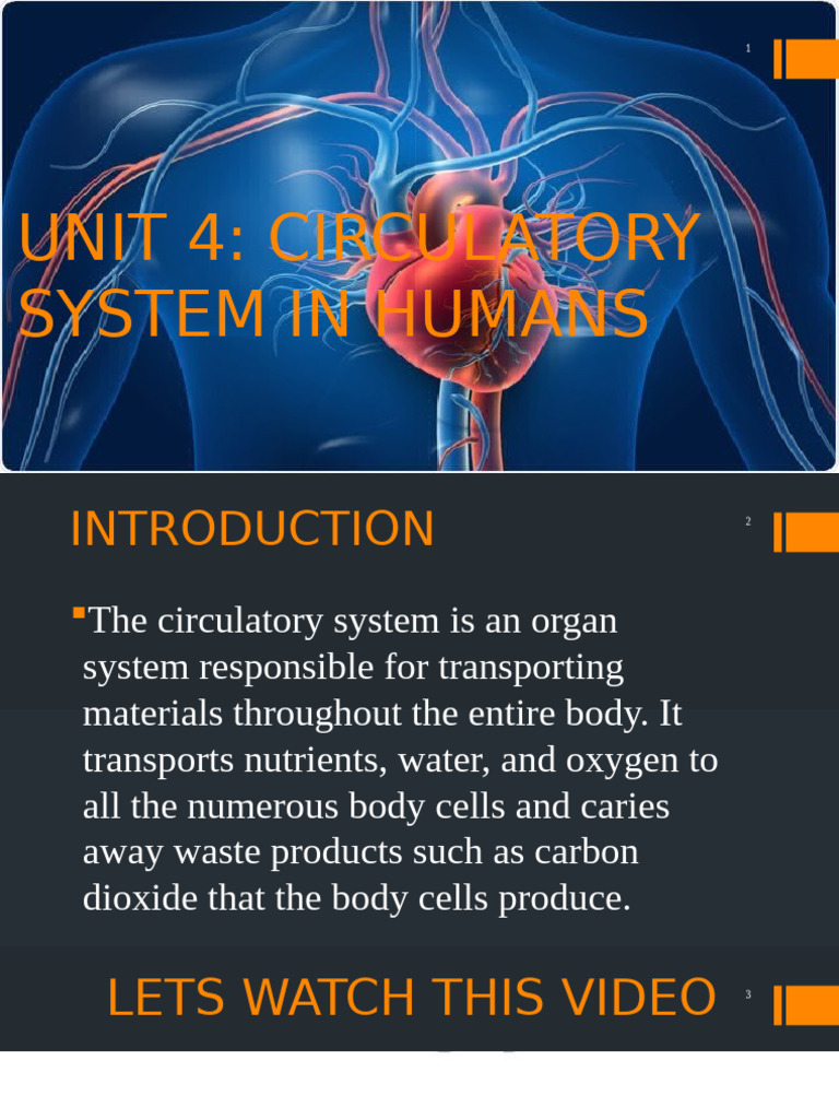 Circulatory System | PDF | Artery | Atrium (Heart)