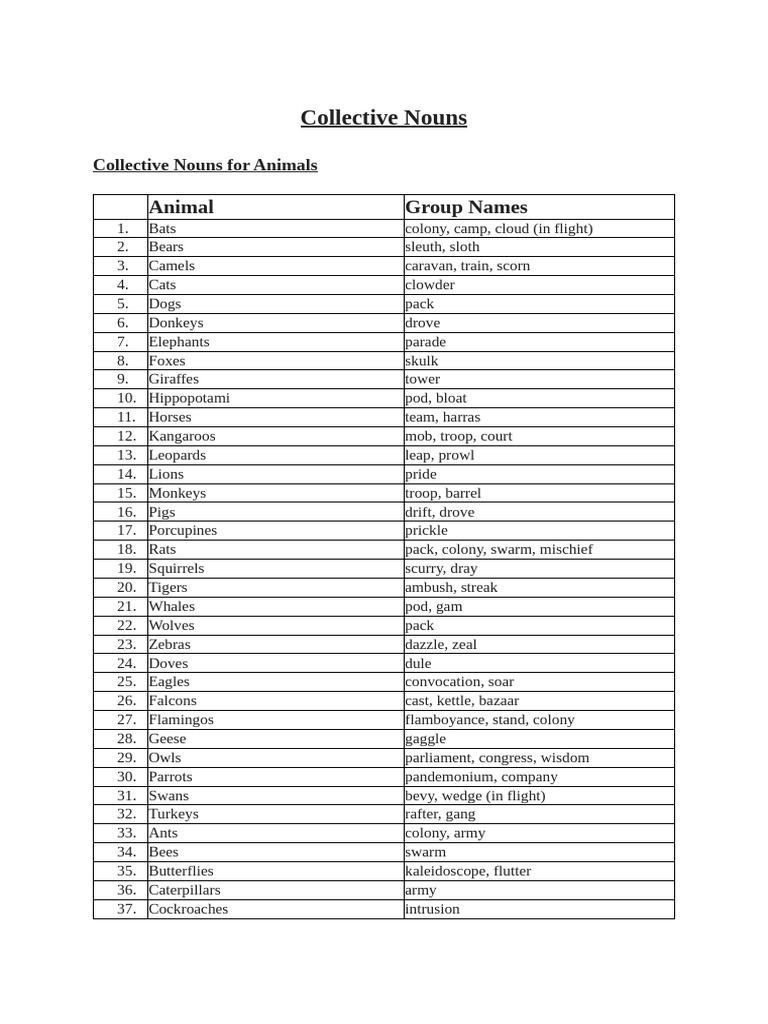 Collective Nouns For Animals People Things | PDF