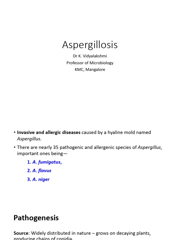 Aspergillosis. 17.sep.2024 | PDF | Aspergillus | Medical Specialties