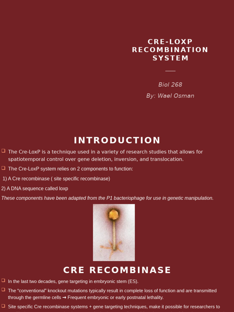 Cre-LoxP Recombination System | PDF | Biotechnology | Genetics