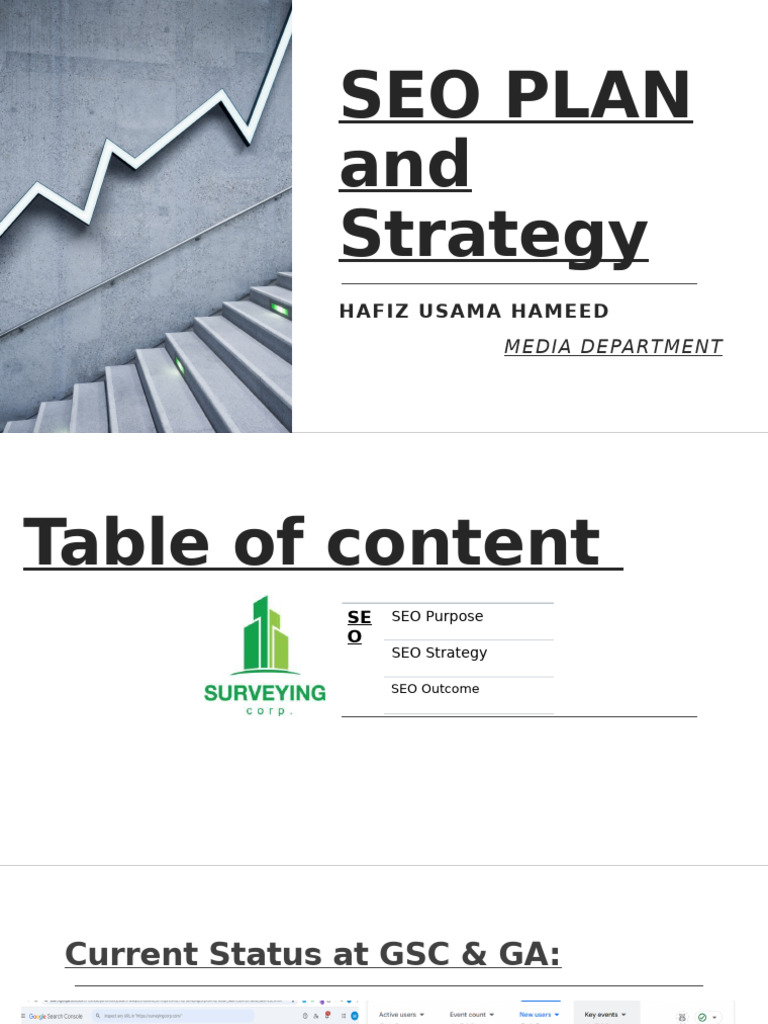 SEO Strategy Plan Overview | PDF