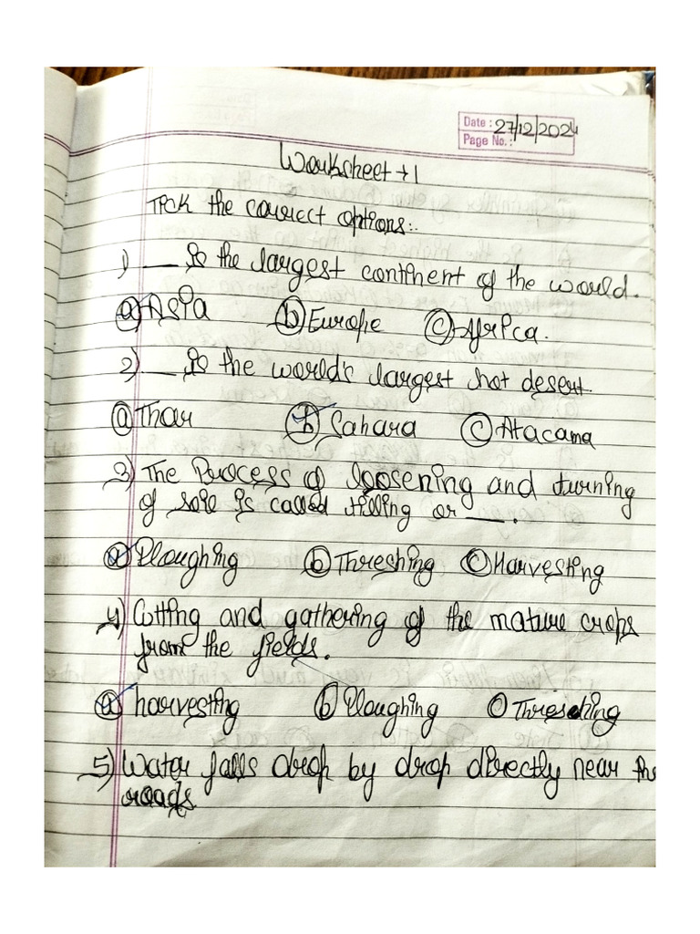 Class - 5 Worksheets | PDF