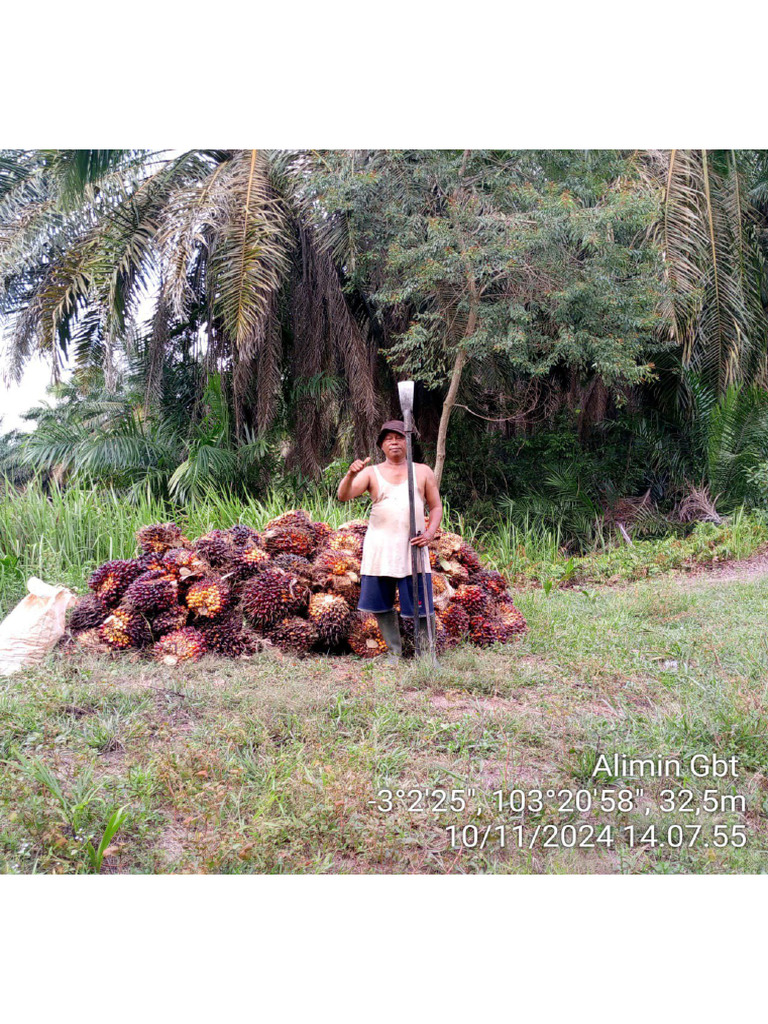 Image to PDF 20241201 19.56.10 pekerjaan | PDF