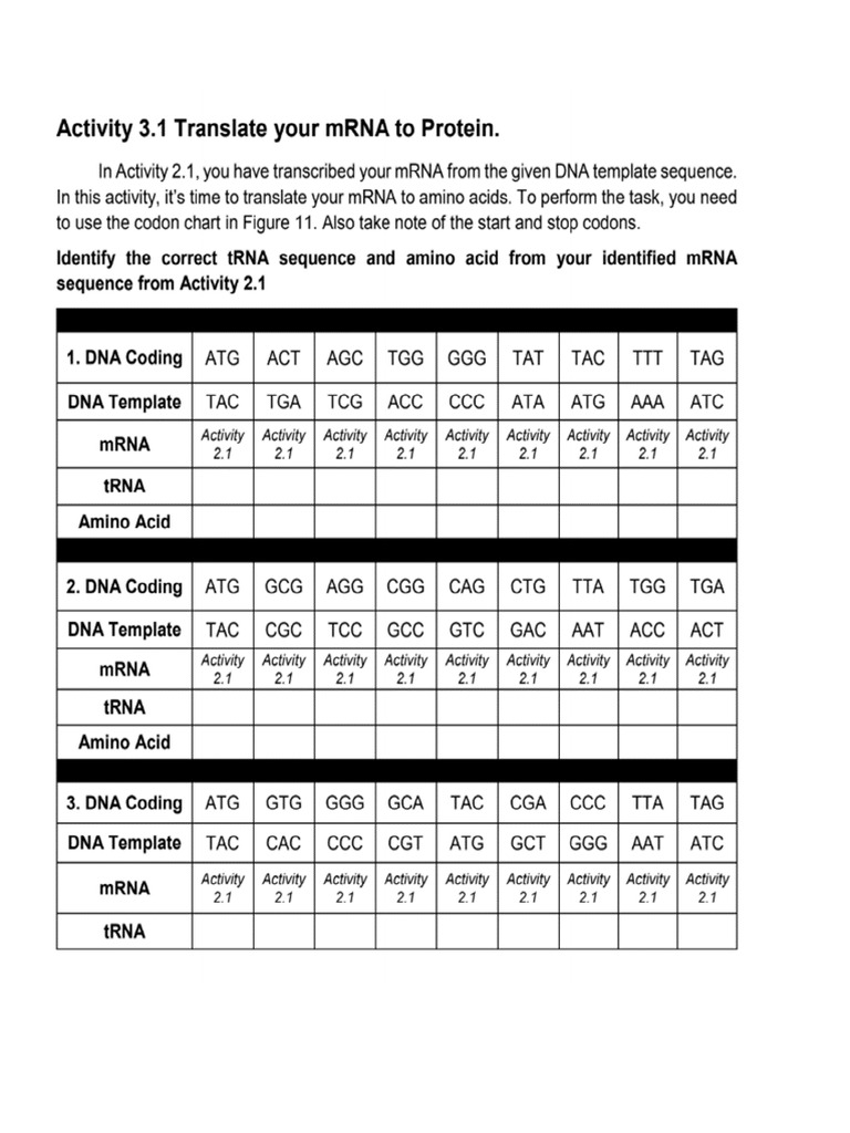 DNA Activities | PDF
