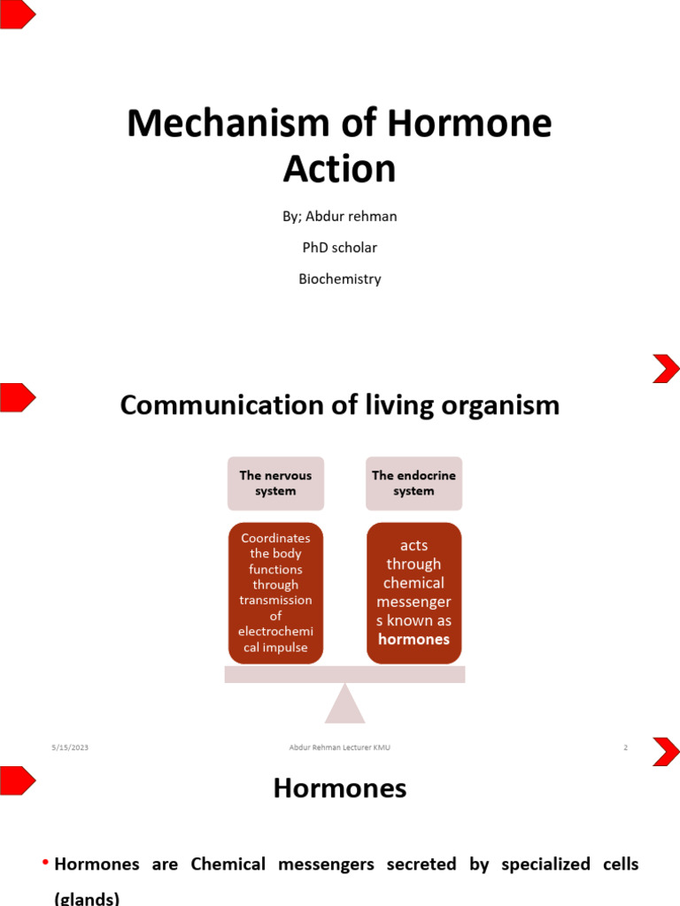 Mechanism of Hormone Action Lecture 8 | PDF | Hormone | Proteins