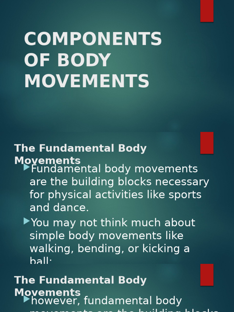 Components of Body Movements | PDF | Foot | Animal Locomotion
