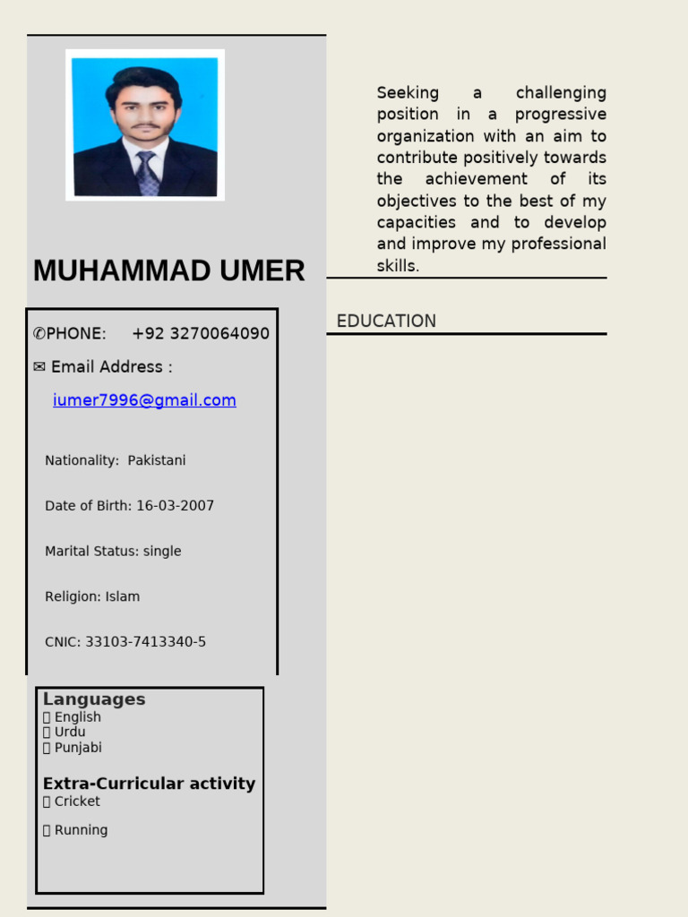 Muhammad Umer's Professional Profile | PDF