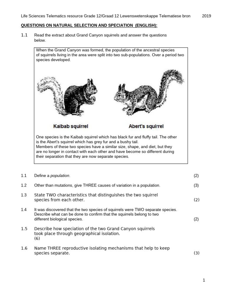 Natural Selection and Speciation in Squirrels | PDF | Species | Natural ...