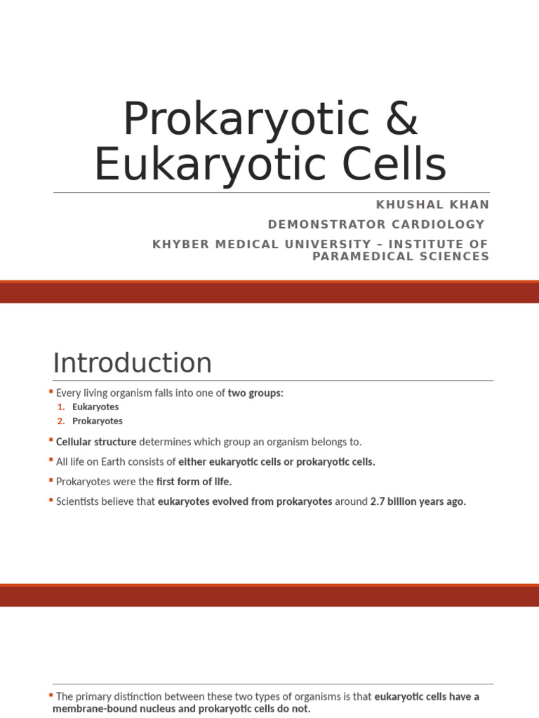 Lecture 04 - Prokaryotic & Eukaryotic Cells | PDF | Cell (Biology ...