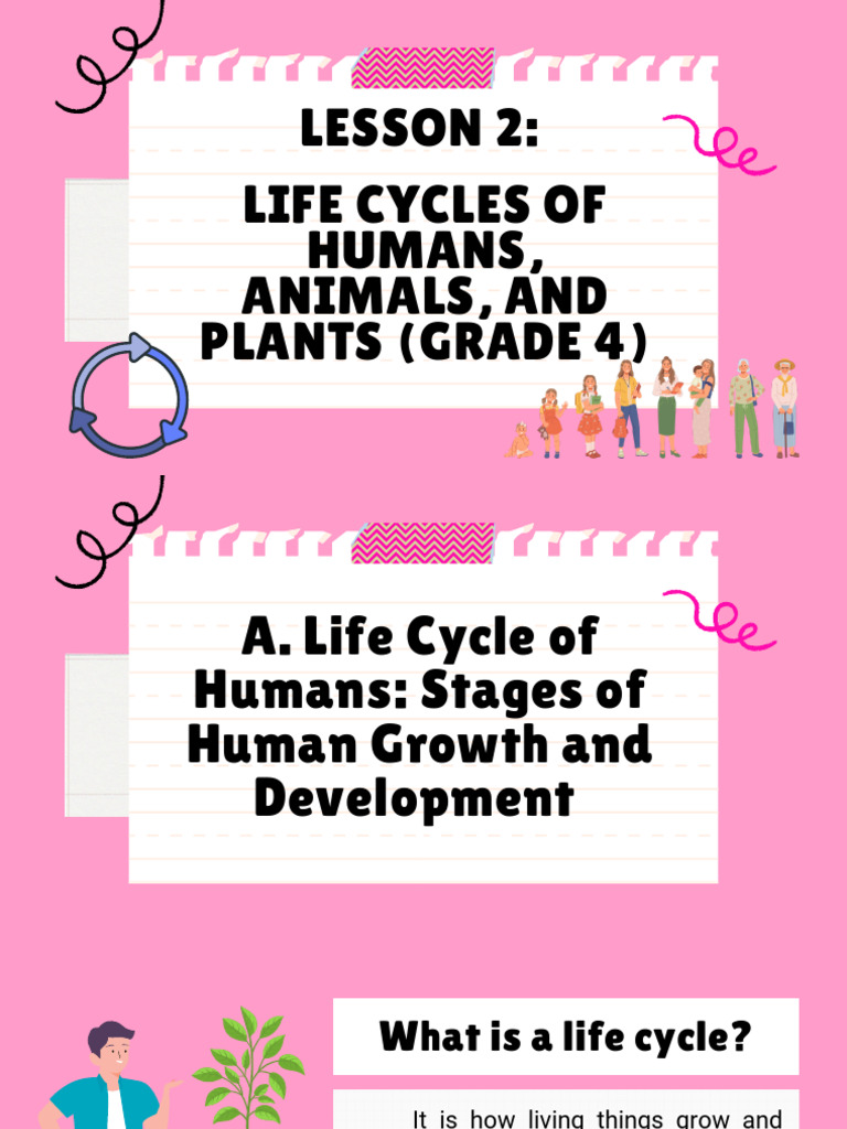 Life Cycle of Humans | PDF | Adolescence | Uterus