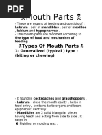 Biting and Chewing Insect Mouthparts | PDF | Insects | Arthropods