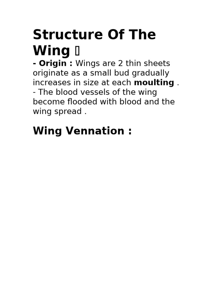 Structure Of The Wing | PDF