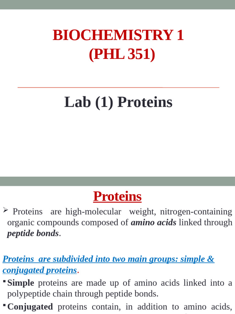 Bio 1 Lab 1 Modified | PDF | Proteins | Amino Acid