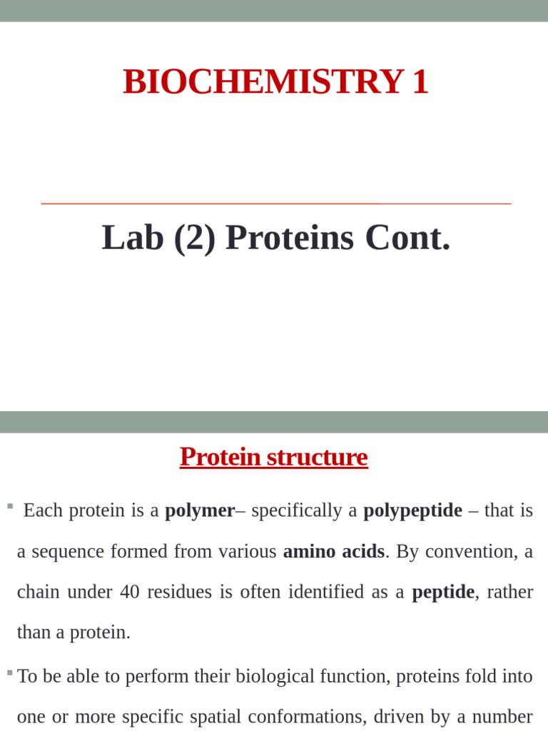Bio 1 lab 2 | PDF | Protein Structure | Denaturation (Biochemistry)