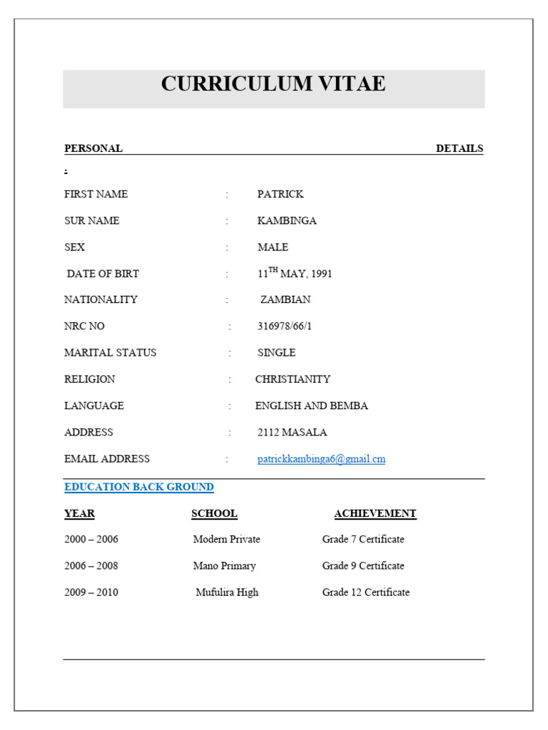 Curriculum Vitae | PDF