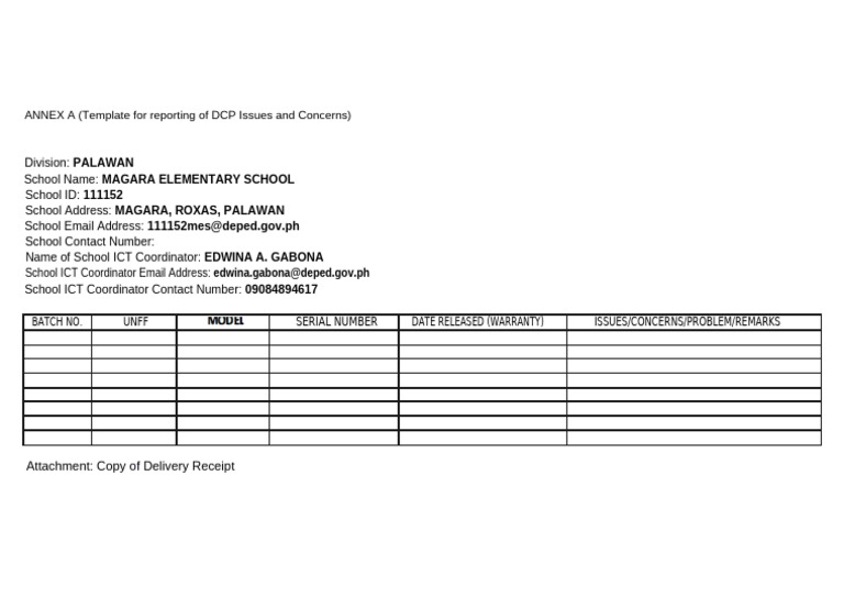 Template For Reporting of DCP Issues and Concerns | PDF
