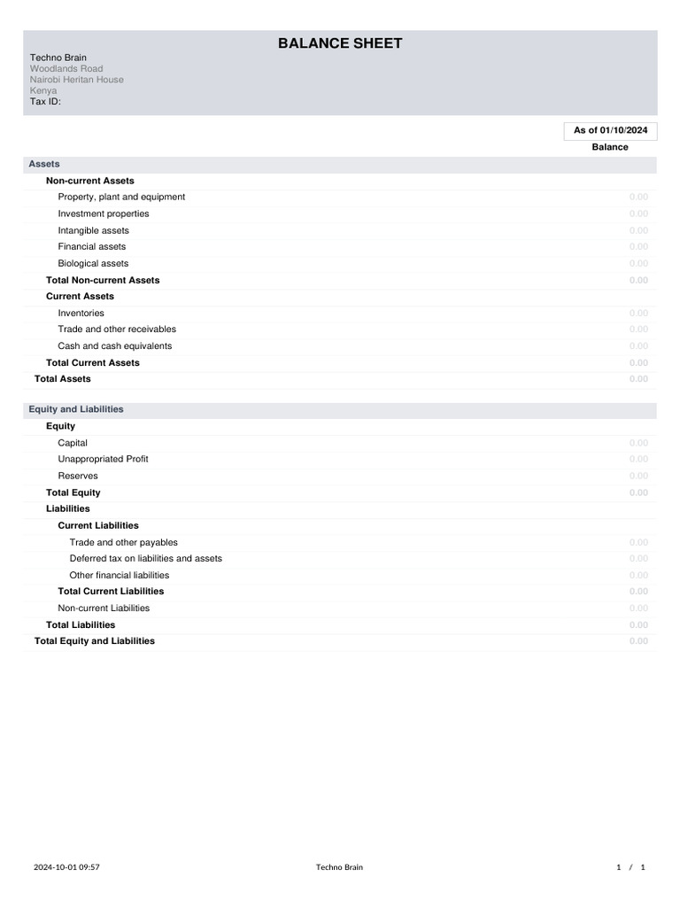 Balance Sheet | PDF