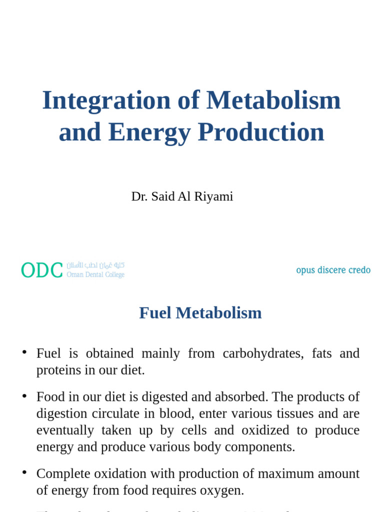 Integration of Metabolism | PDF | Glycogen | Glucose
