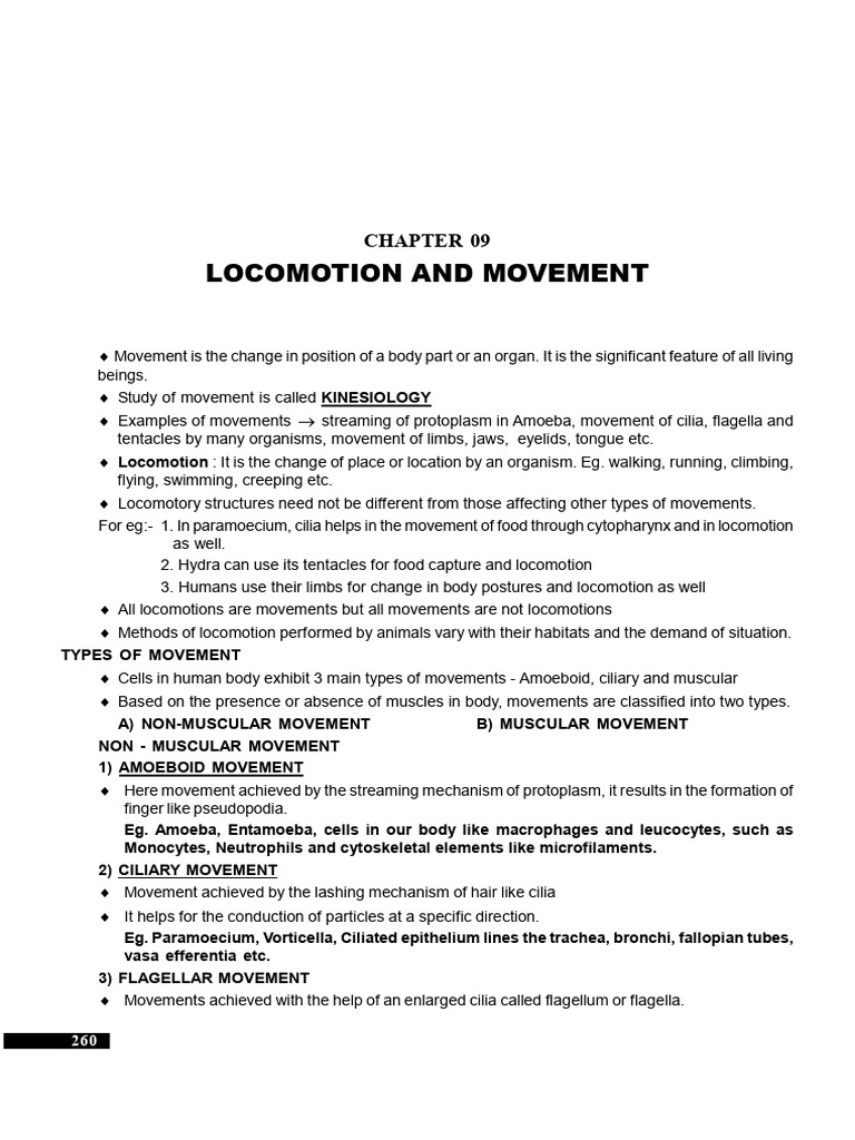 Locomotion & Movement [Lecture Note] | PDF | Vertebra | Vertebral Column