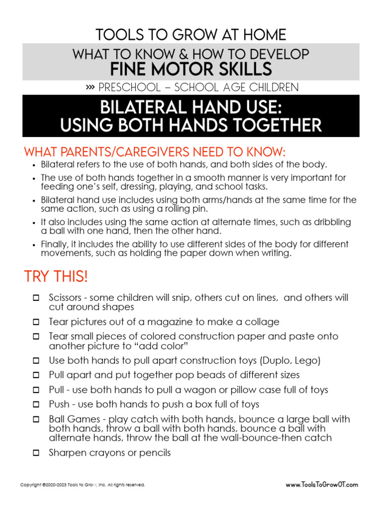 8t4 - TTG at Home Fine Motor Bilateral | PDF