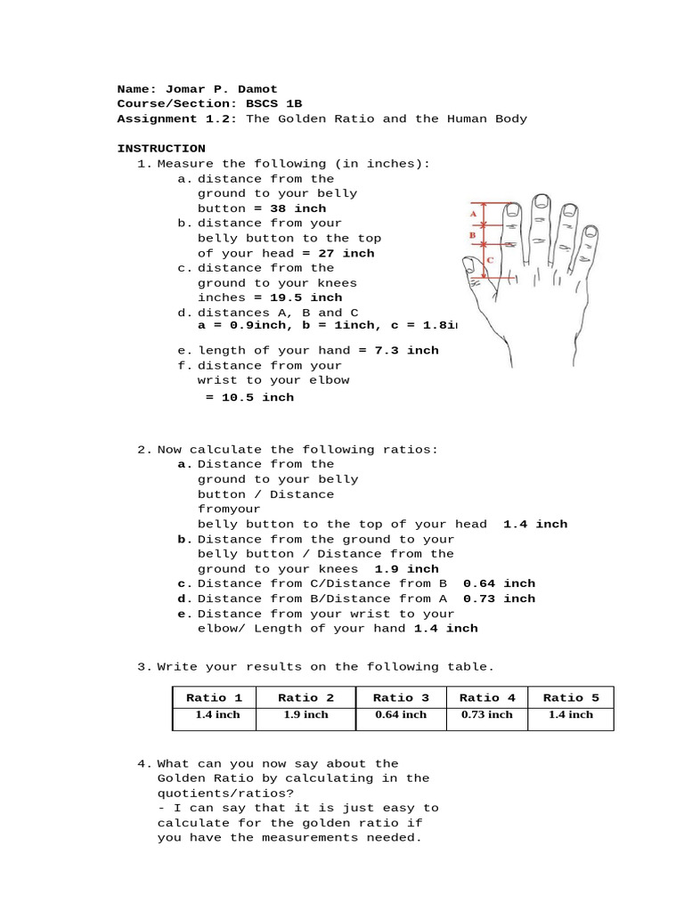 The Golden Ratio and The Human Body | PDF