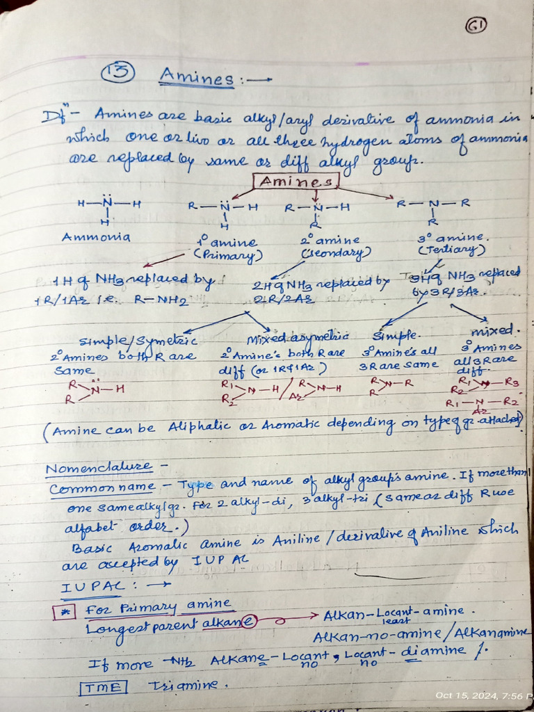 Amines Class 12 Notes | PDF