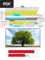 Personification | PDF