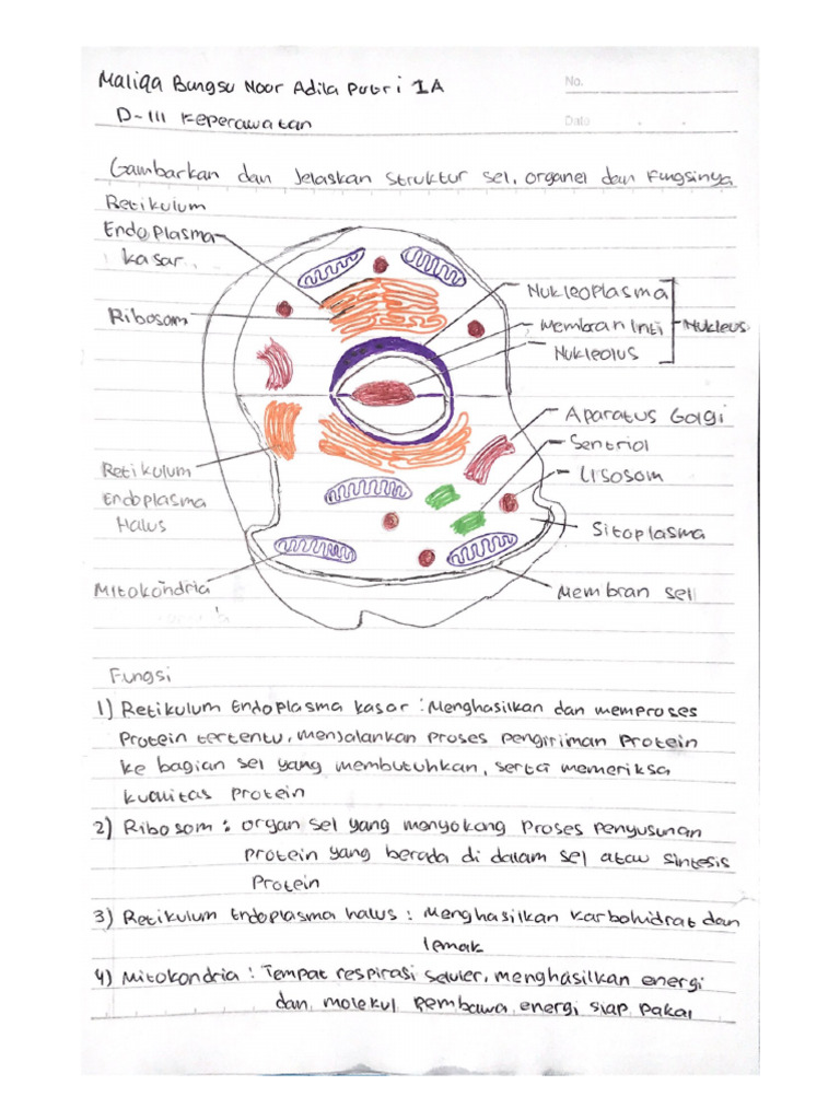 Maliqa Noor Adila Putri | PDF