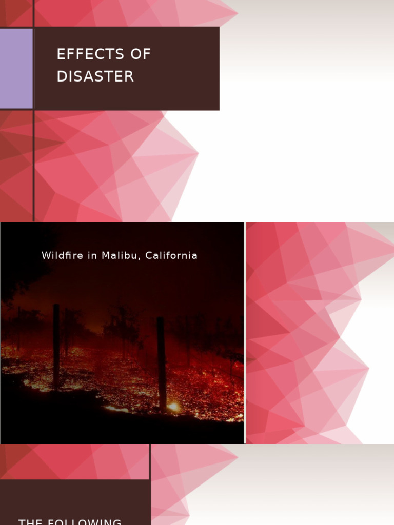 Effects-of-Disaster | PDF | Emergency Management
