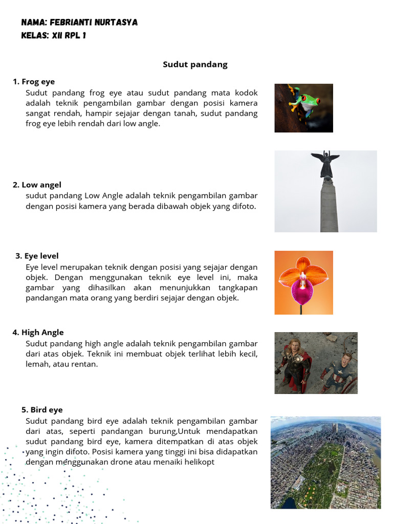 Sudut Pandang Frog Eye Adalah Teknik Fotografi Yang Mengambil Gambar ...