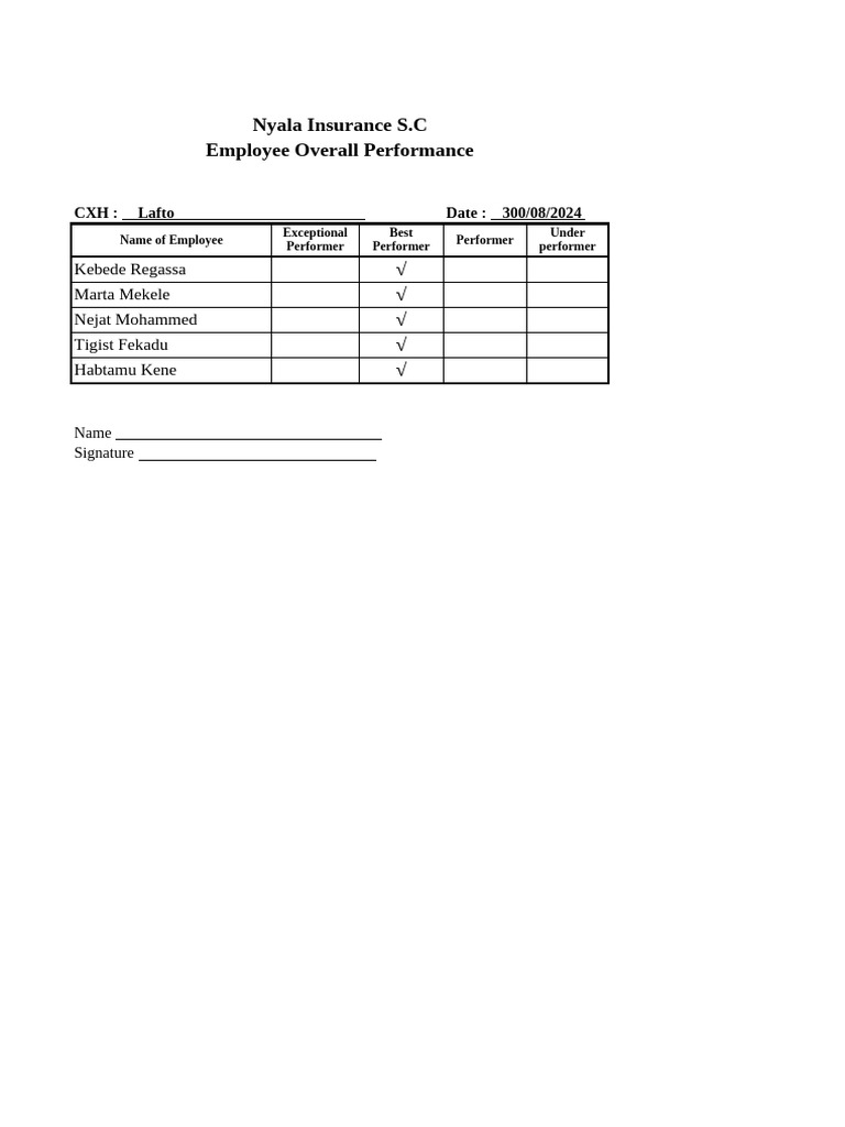 Nyala Insurance Employee Performance Review | PDF