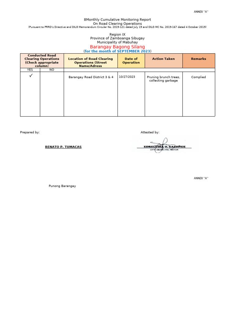 Monthly Cumulative Monitoring Report | PDF