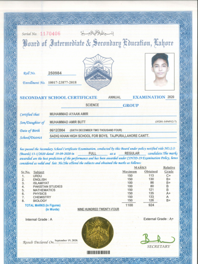 matric certificate | PDF