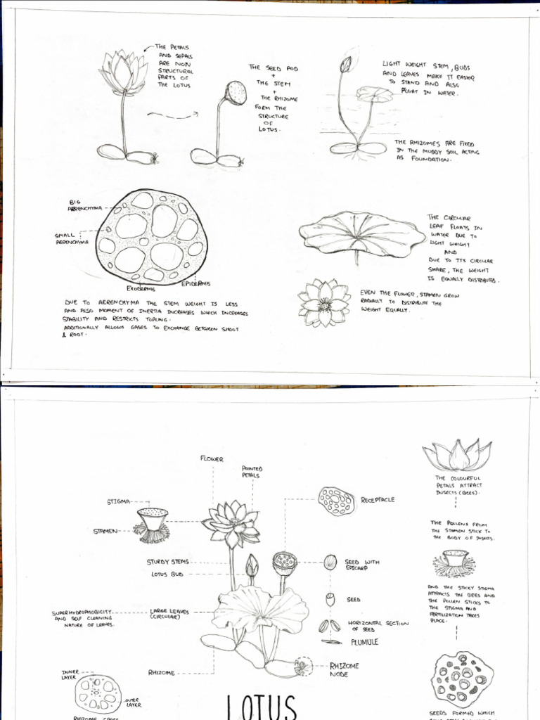 Ads Submission 1 | PDF
