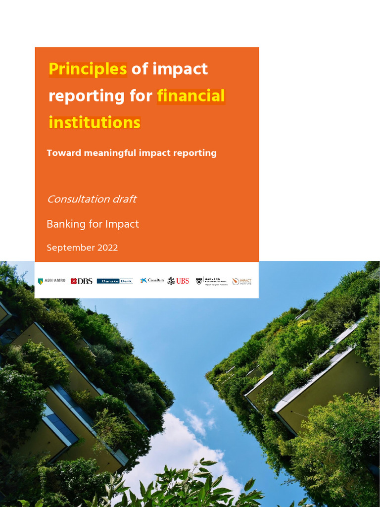BFI Methodology Principles of Impact Reporting For Financial ...