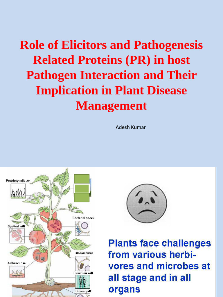 Role of PRs Proteins and Elicitors in Plant Pathogen Intraction and ...
