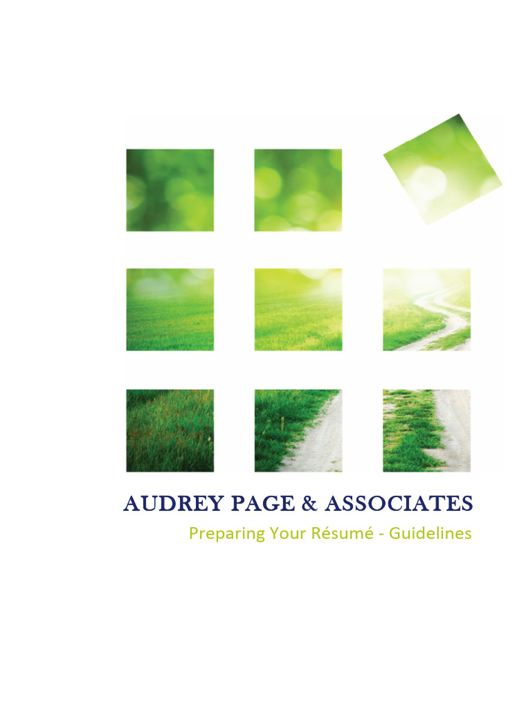 Preparing A Resume - Guidelines | PDF | Résumé