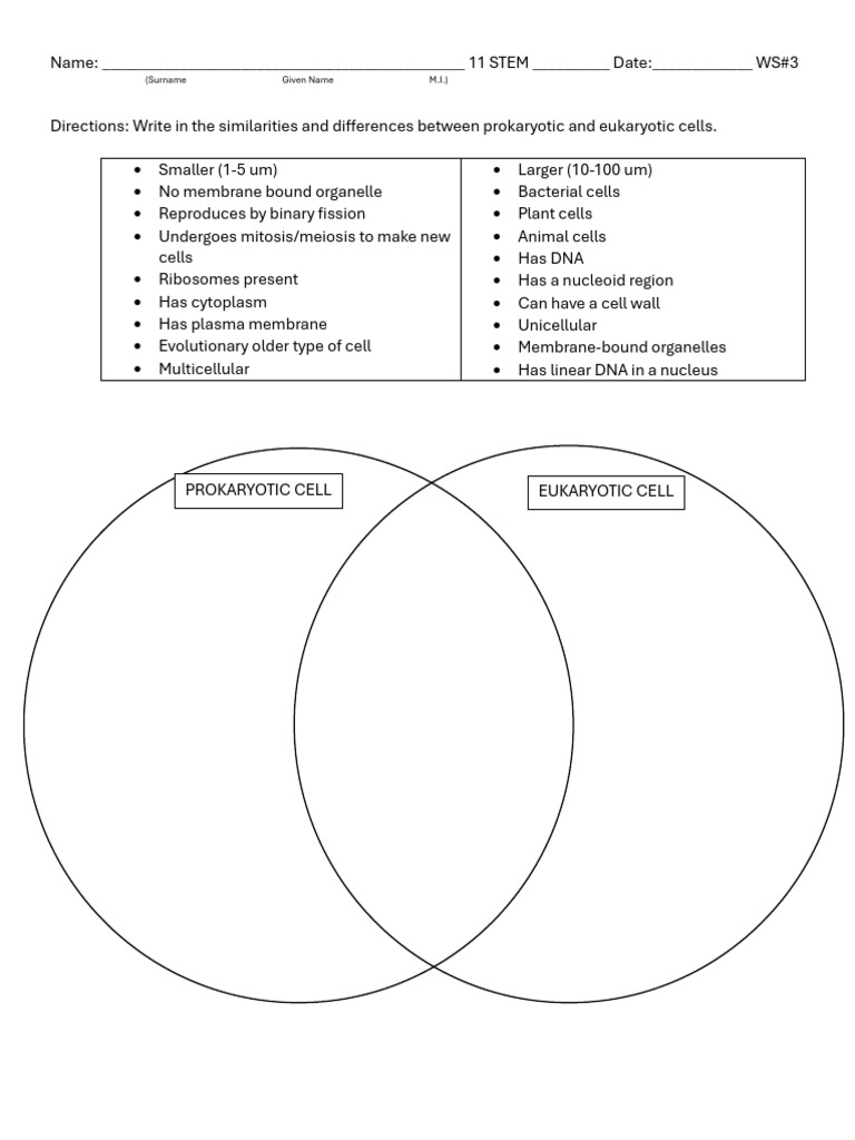 WS 3 Prokaryotic VS Eukaryotic Cell | PDF